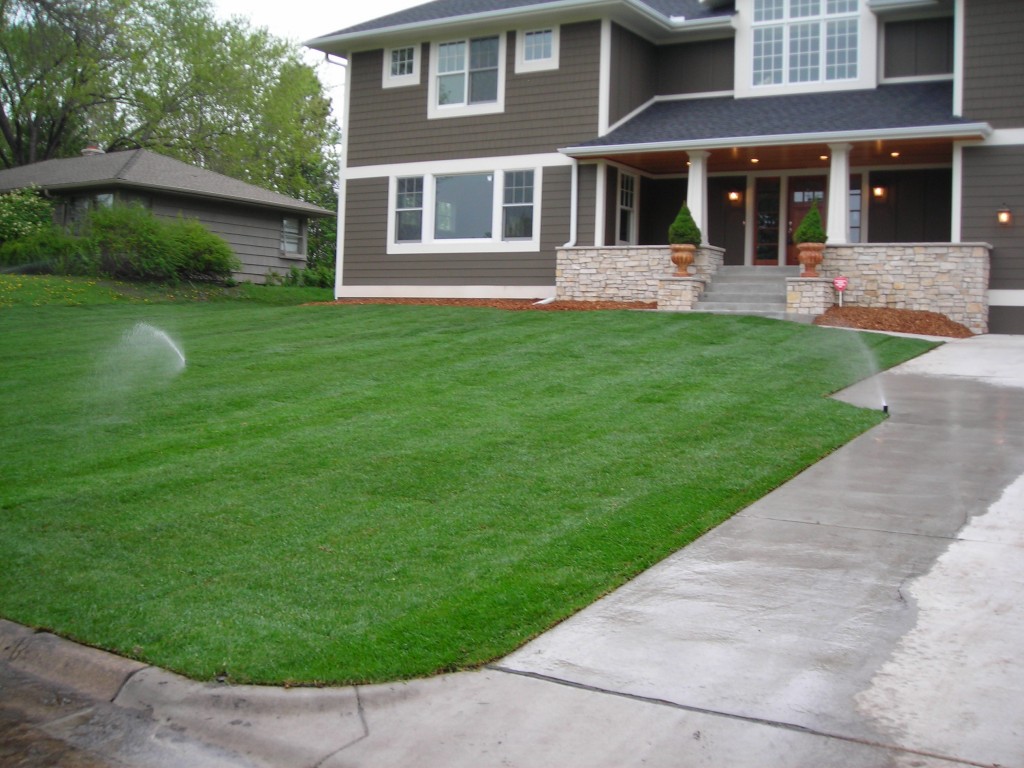 Fertilizer and Weed Control - Lakes Landscape Services